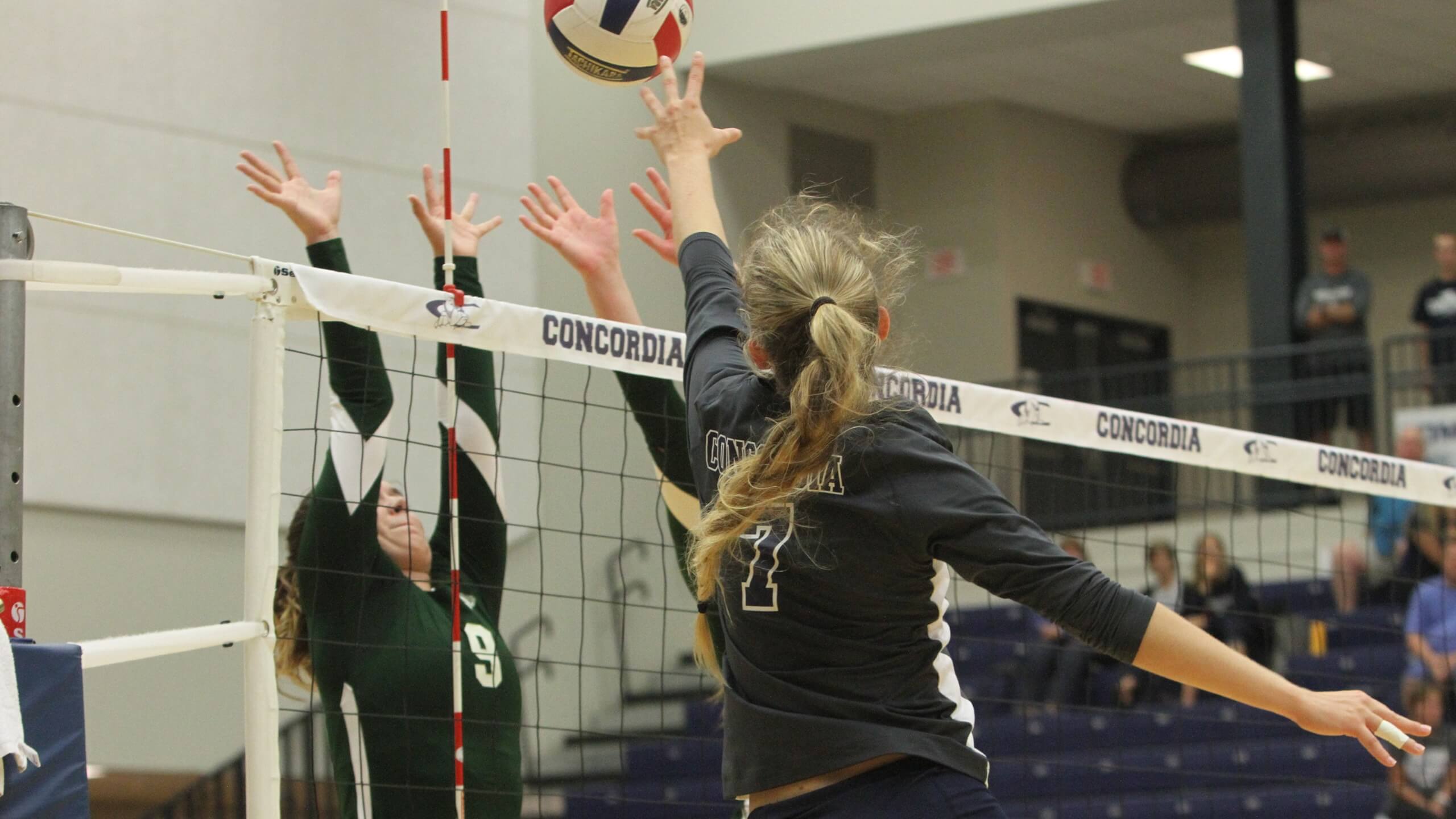 Grueling stretch begins Wednesday for volleyball :: Volleyball ...