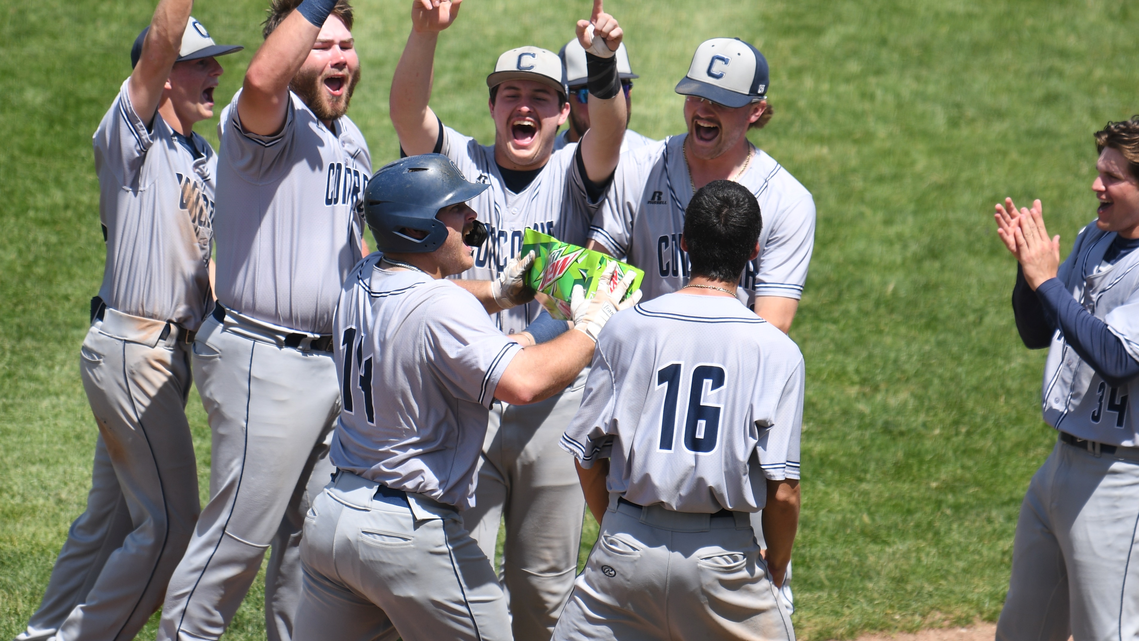 Few can Dew it better: looking back at Candor's remarkable career ...