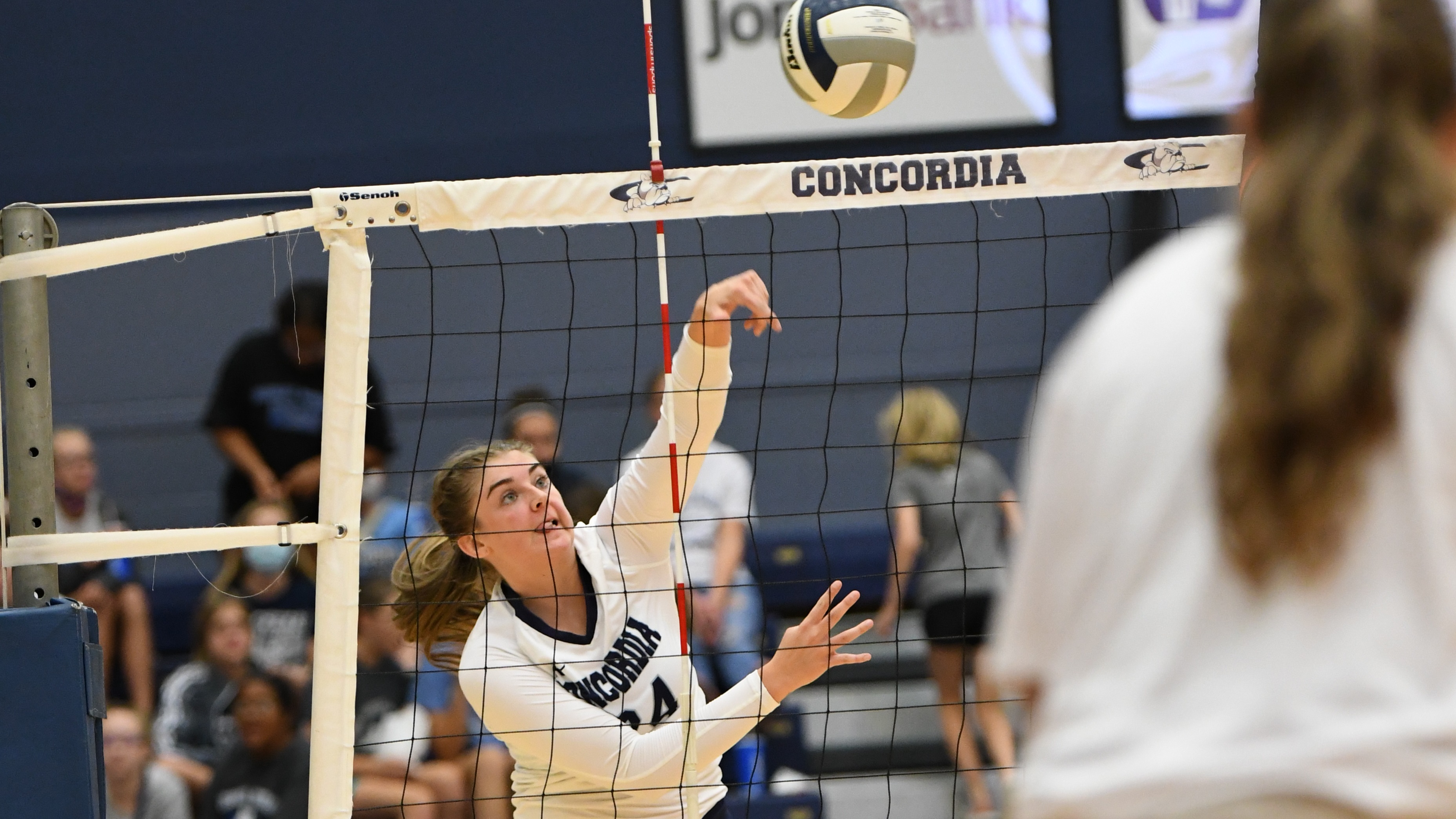 Rodaway, Nordaker sizzle on attack as Bulldogs make quick work of Park ...