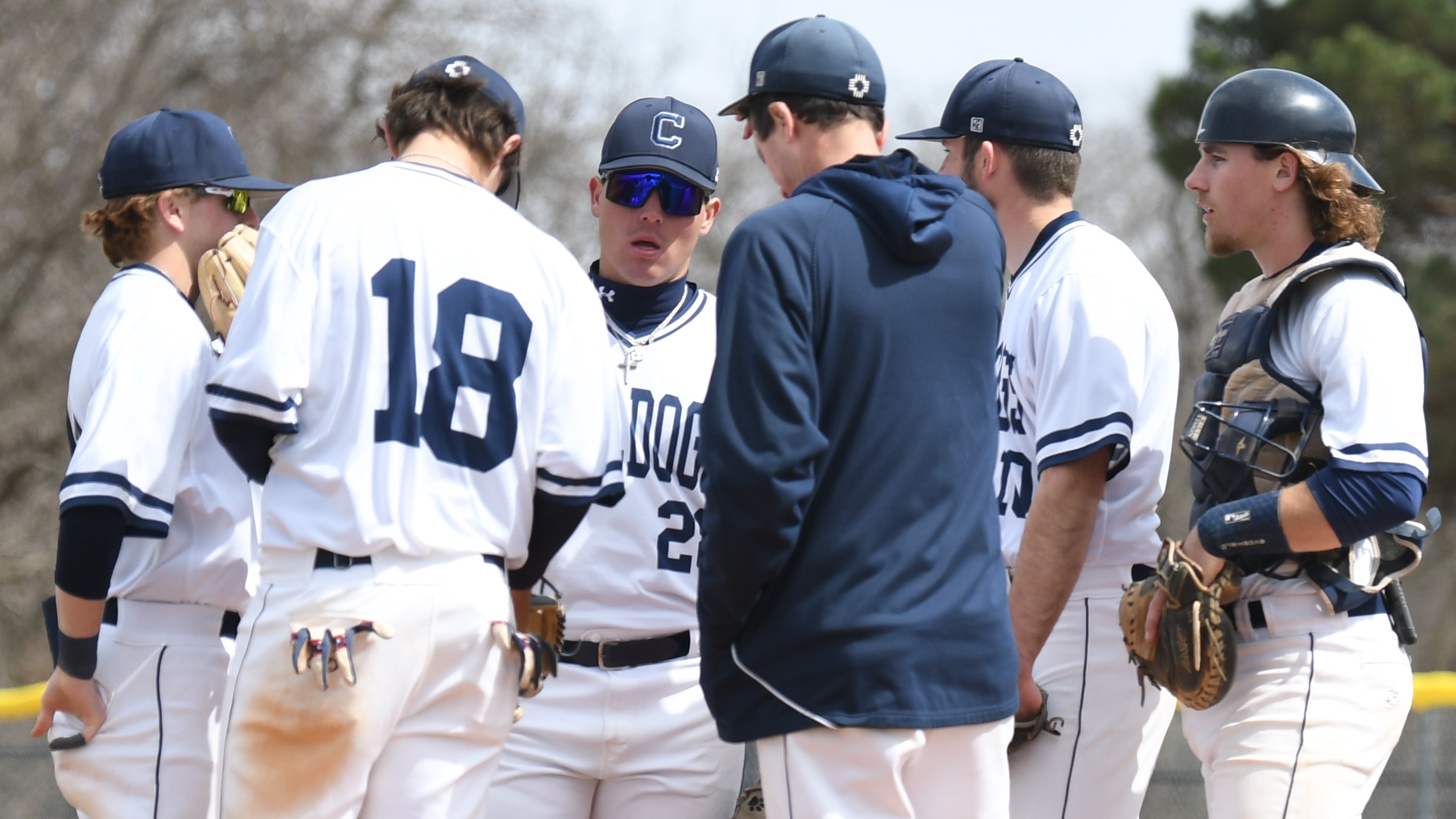 Fall Update: Bulldogs rife with offensive talent, increased pitching ...