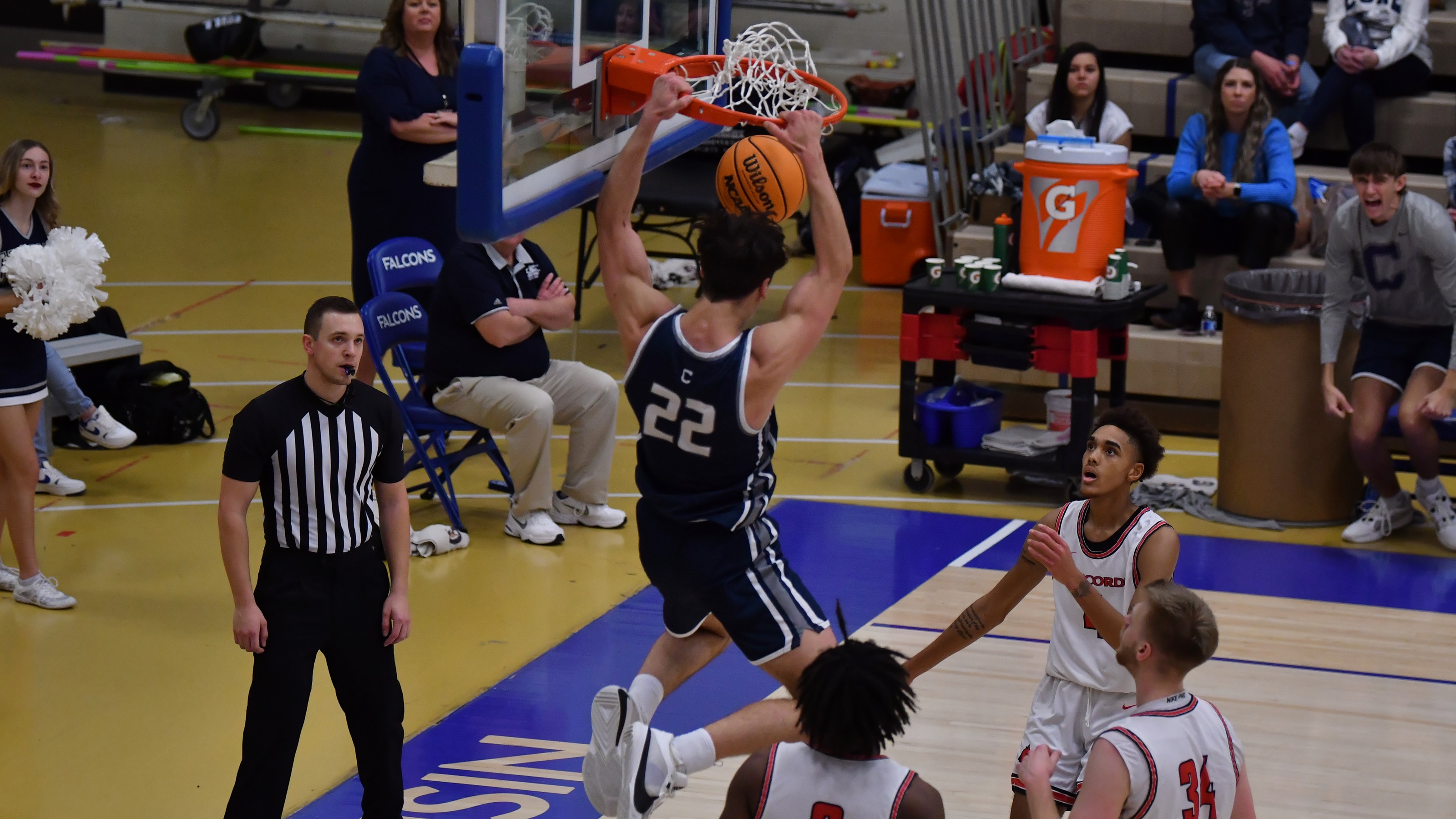 Dawgs turn away Cardinals in intense CIT clash :: Men's Basketball ...