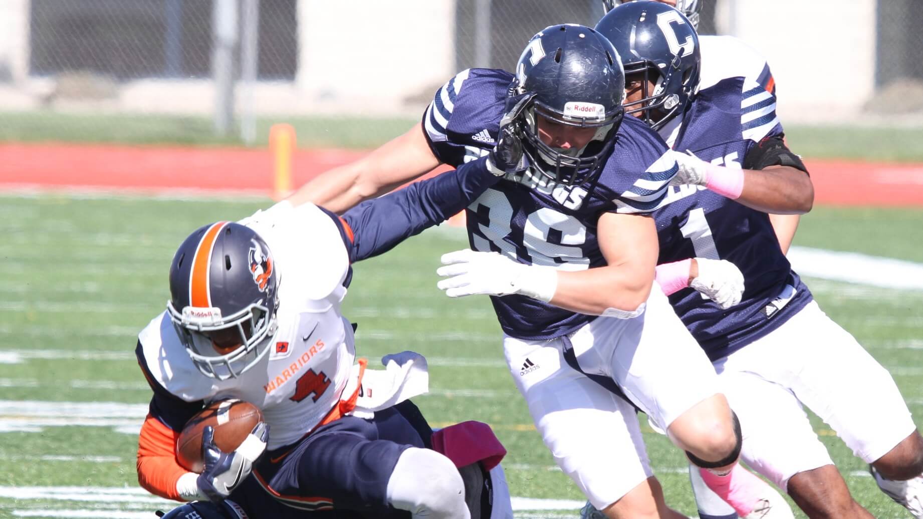 GAME NOTES: Off bye week, Bulldogs set for trip to Dordt :: Football ...