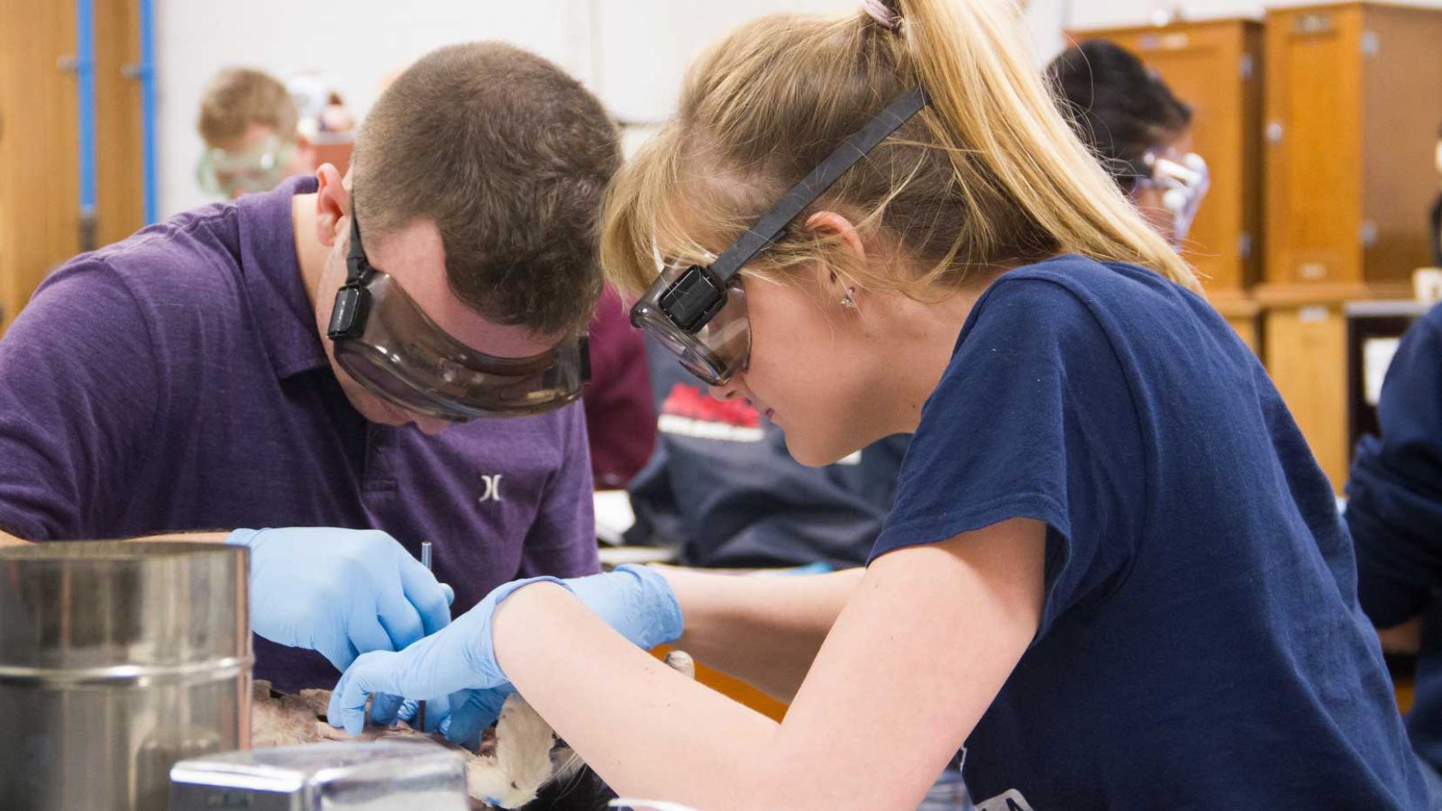 Pre-Veterinary Undergraduate Program at Concordia University, Nebraska