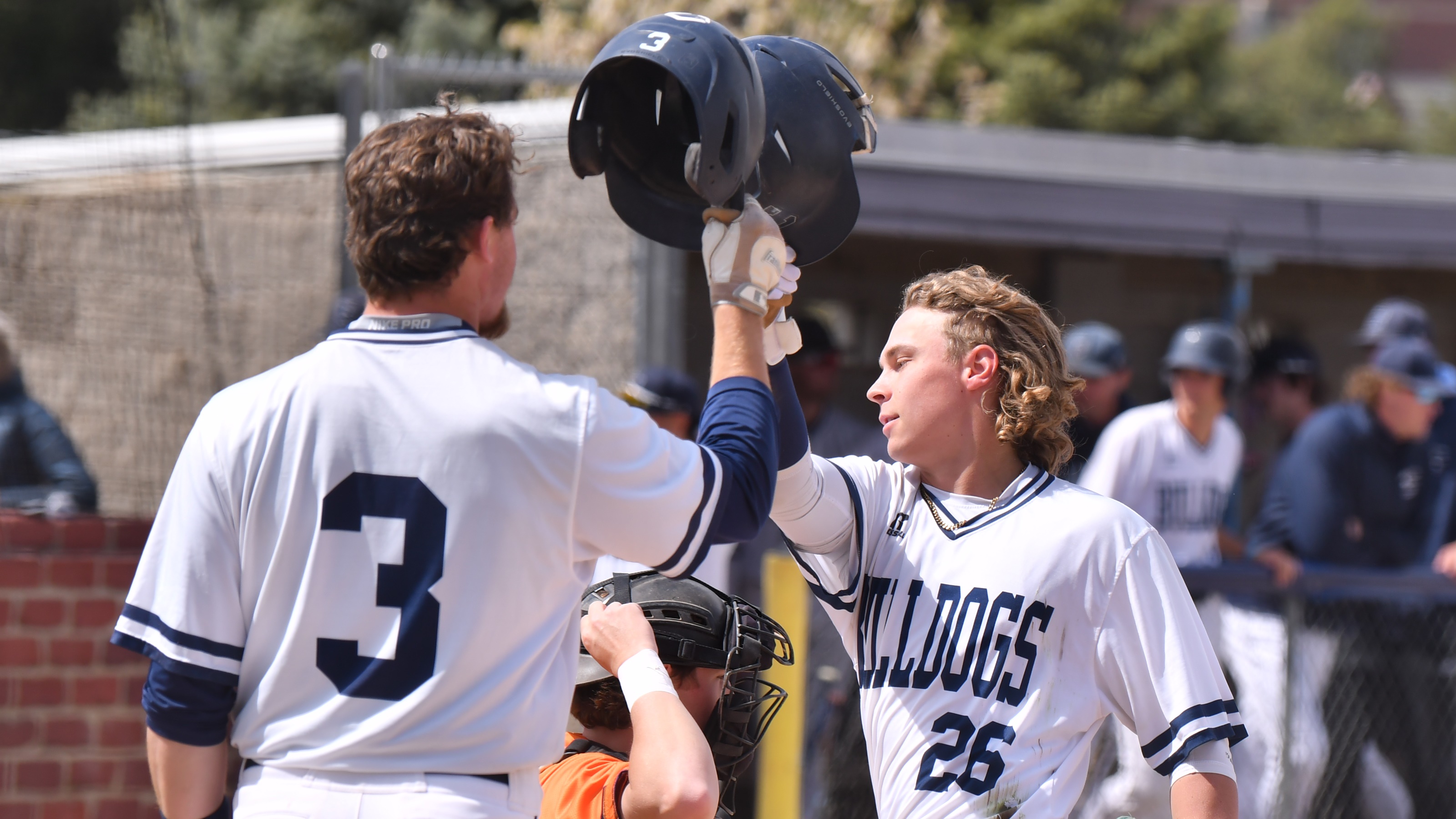 GPAC Tournament Preview: 2023 Concordia Bracket :: Baseball ...