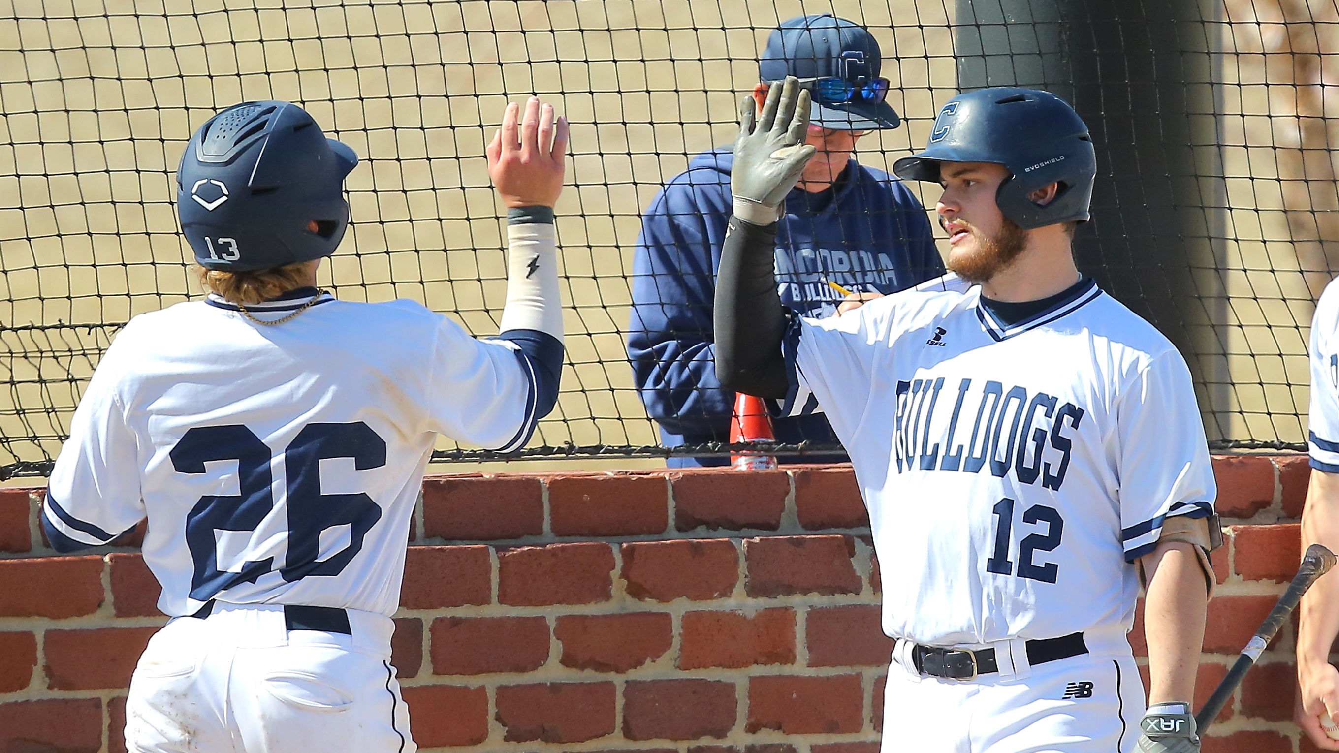 Detailing spring break in The Sunshine State :: Baseball :: Concordia ...