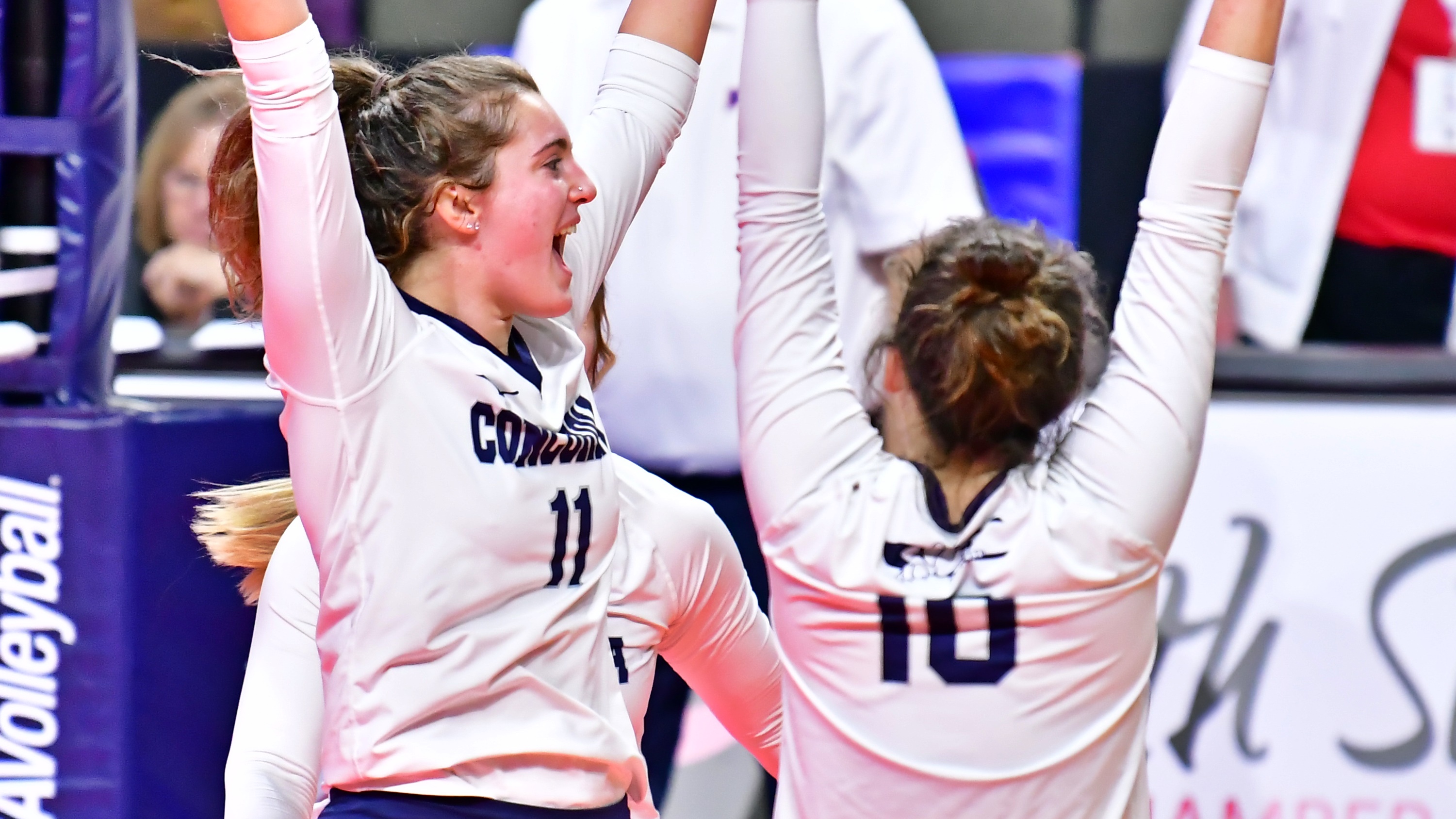 Angie Boldt honored with coaching award; three Bulldogs chosen to AVCA ...