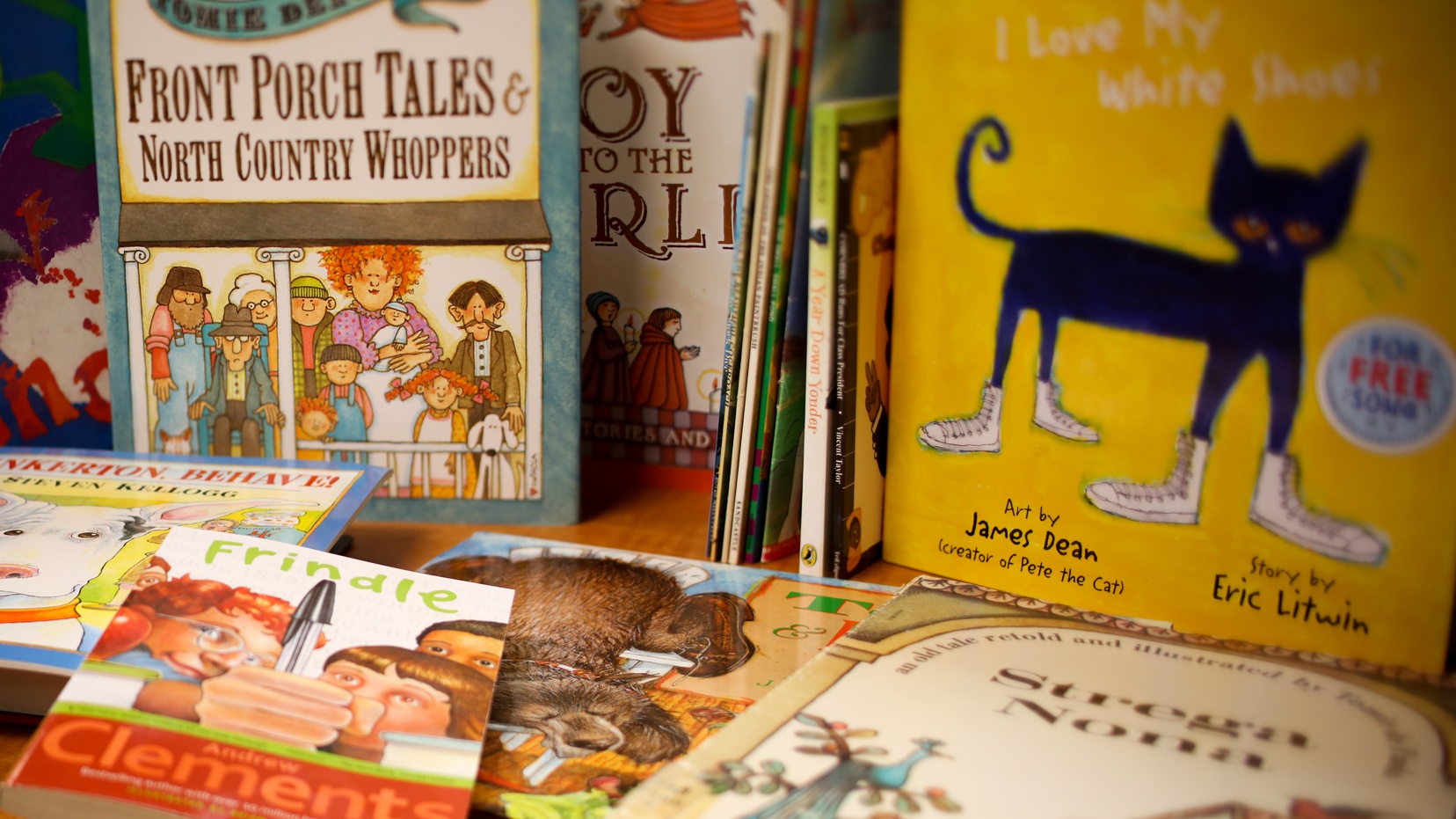 Book sale supports Plum Creek Children's Literacy 2015 Festival ...