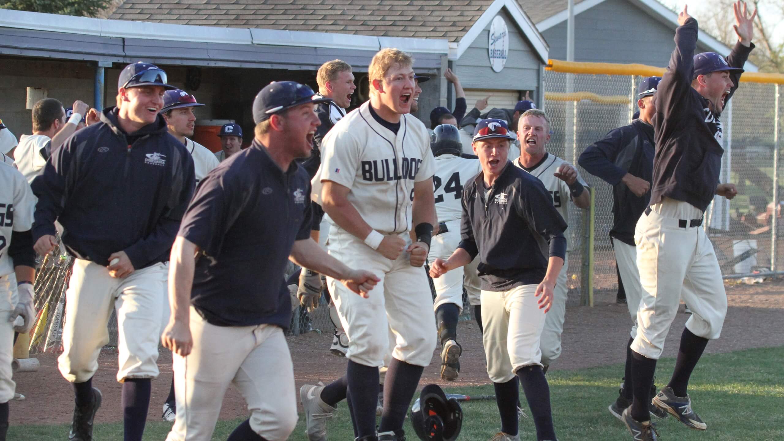 SEASON PREVIEW: 2017 Concordia baseball :: Baseball :: Concordia ...