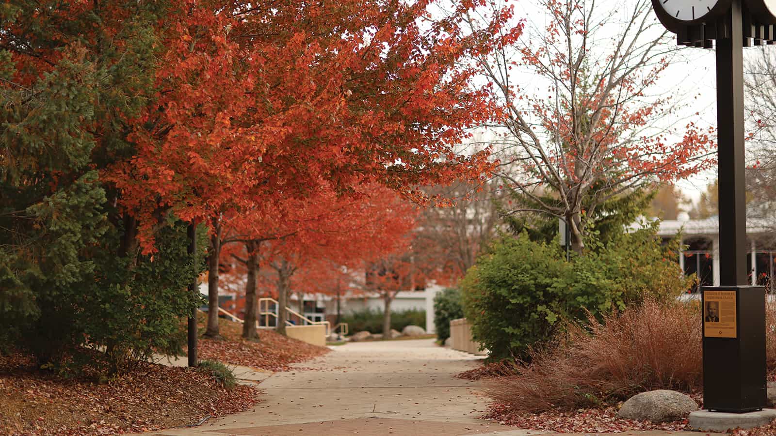 Embracing the Legacy of Lutheran Education :: Concordia University ...