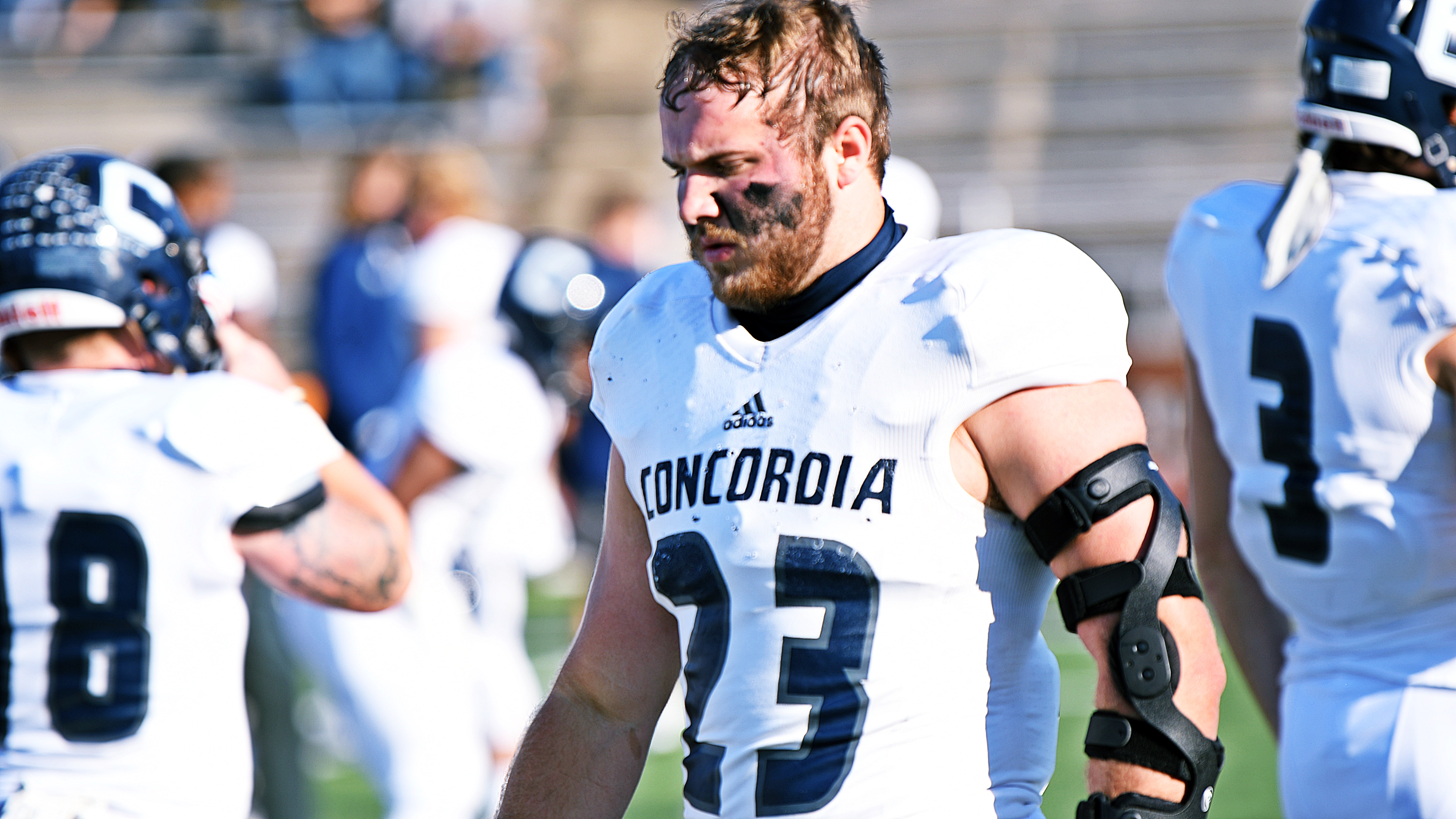 Napier achieves career milestone; Bulldogs fall in 2020 finale ...