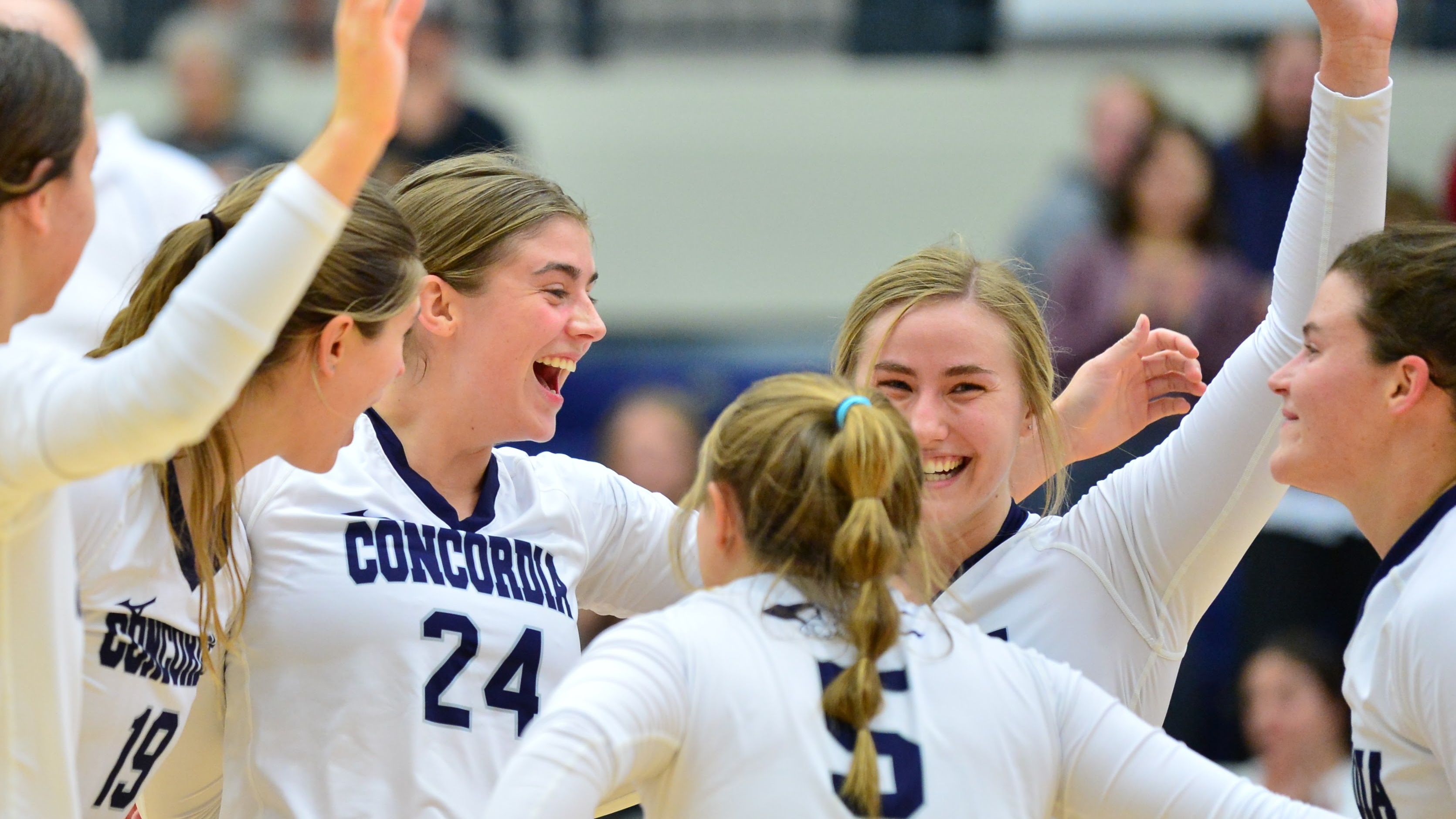 Attack Dawgs overwhelm rival Doane :: Volleyball :: Concordia ...