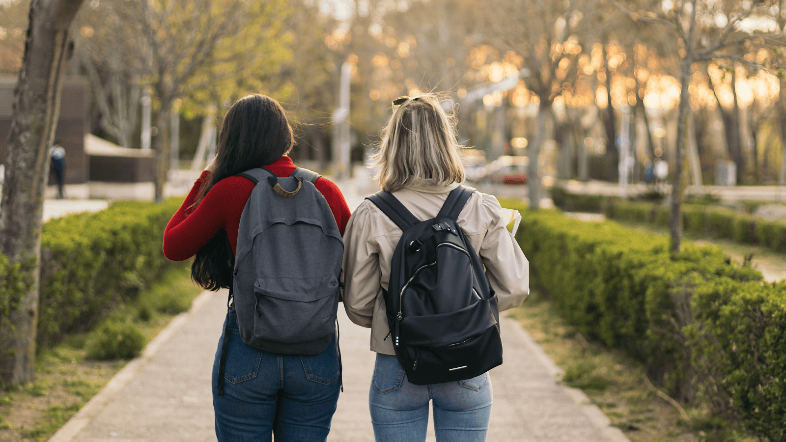 Special Education: Transition to Post-Secondary Education :: Concordia University, Nebraska