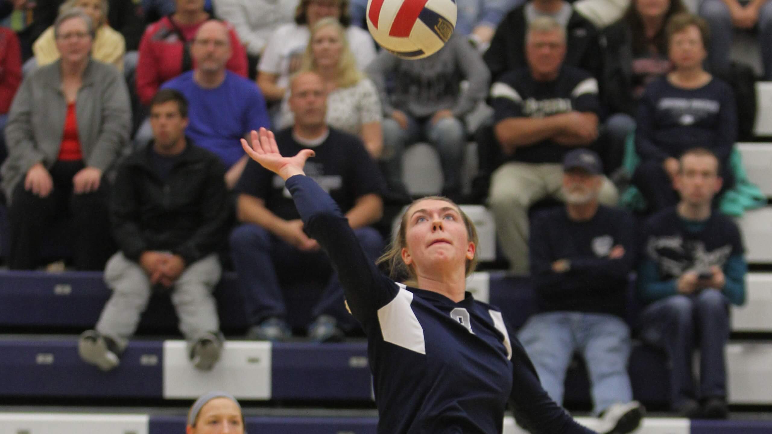 Bulldogs rekindle the fire at CSM :: Volleyball :: Concordia University ...