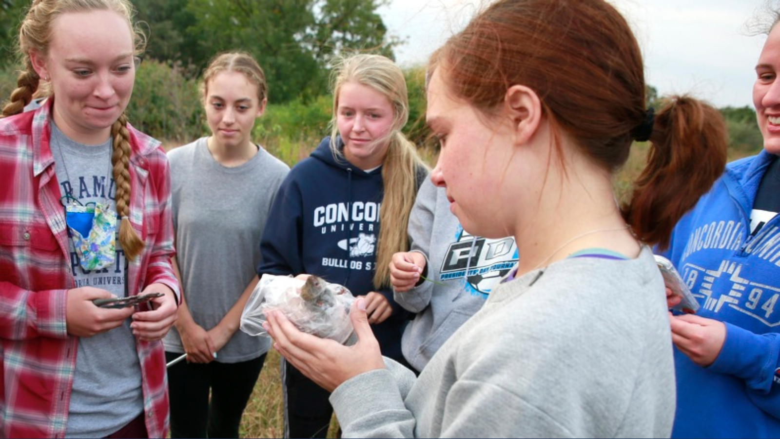 What Can You Do with a Major in Environmental Science? :: Concordia ...