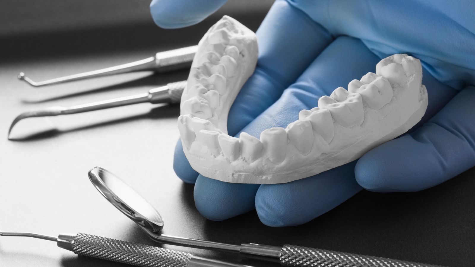 Pre-Dental Academic Program, Bachelor of Science