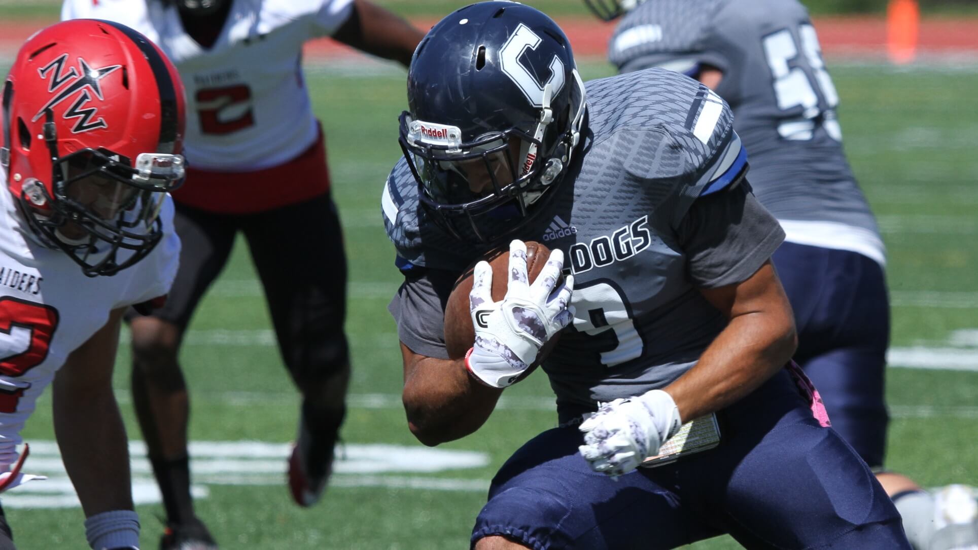 Collins carries the mail as Bulldogs deliver road win :: Football ...