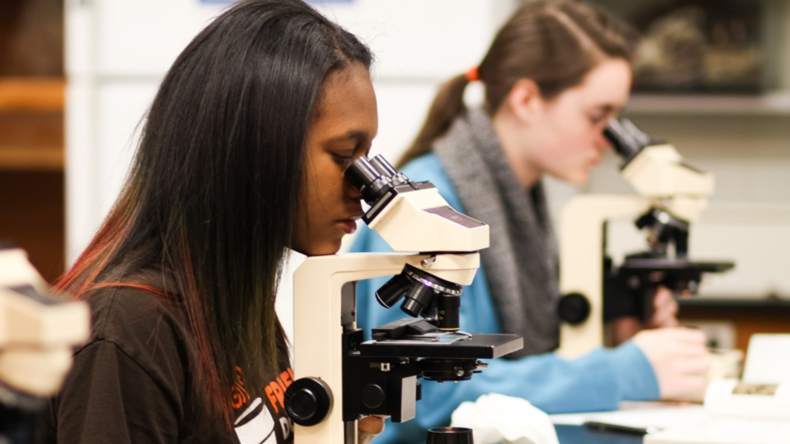 Why Major in Chemistry, Biology or Physics? :: Concordia University ...