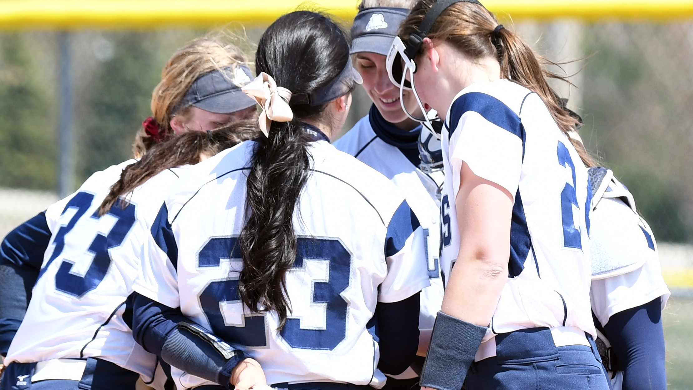 Bulldogs wrap up regular season with blowout wins at DWU :: Softball :: Concordia University ...