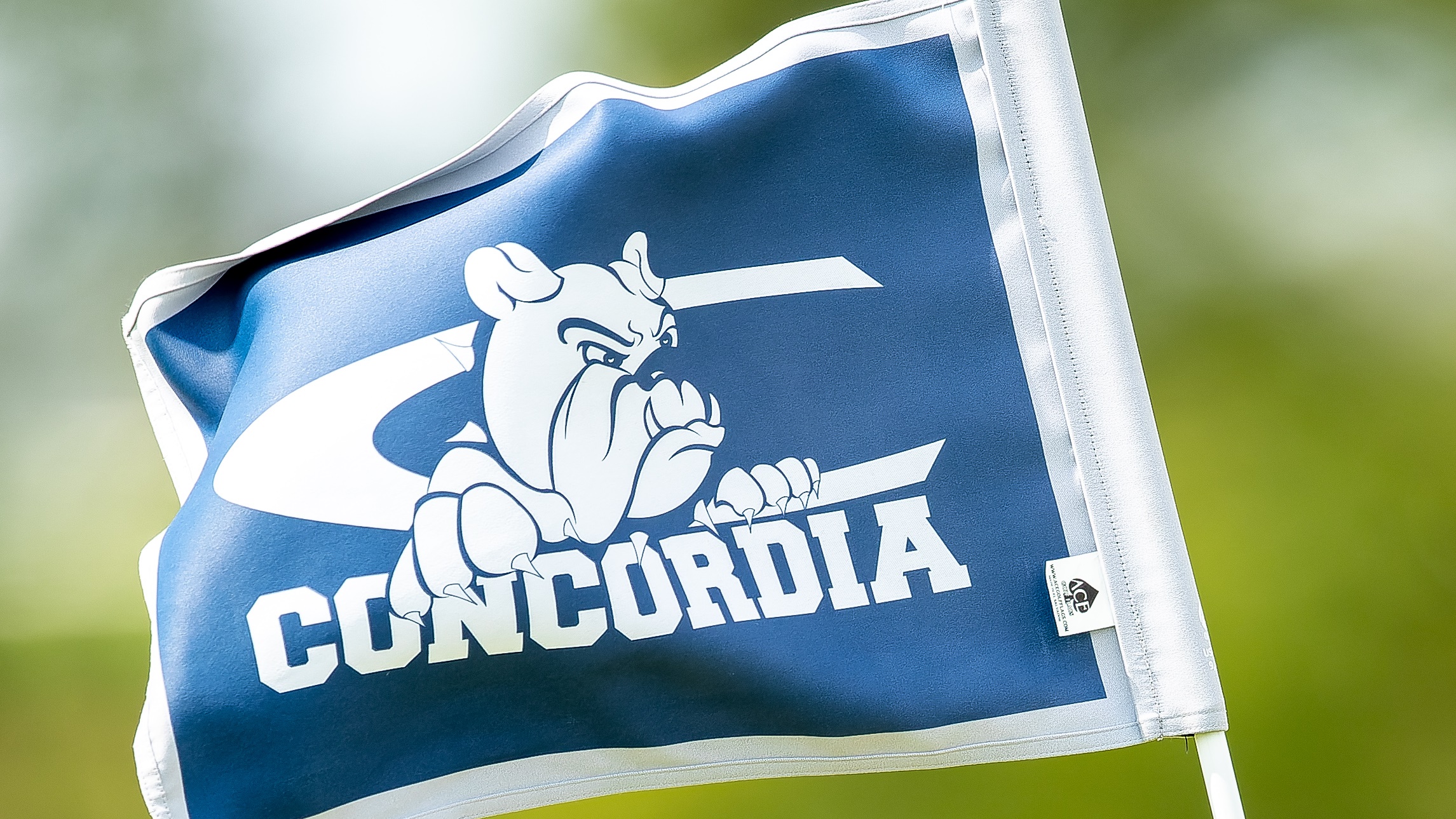 Schedule Release: Spring 2025 Concordia Men's Golf :: Men's Golf ...