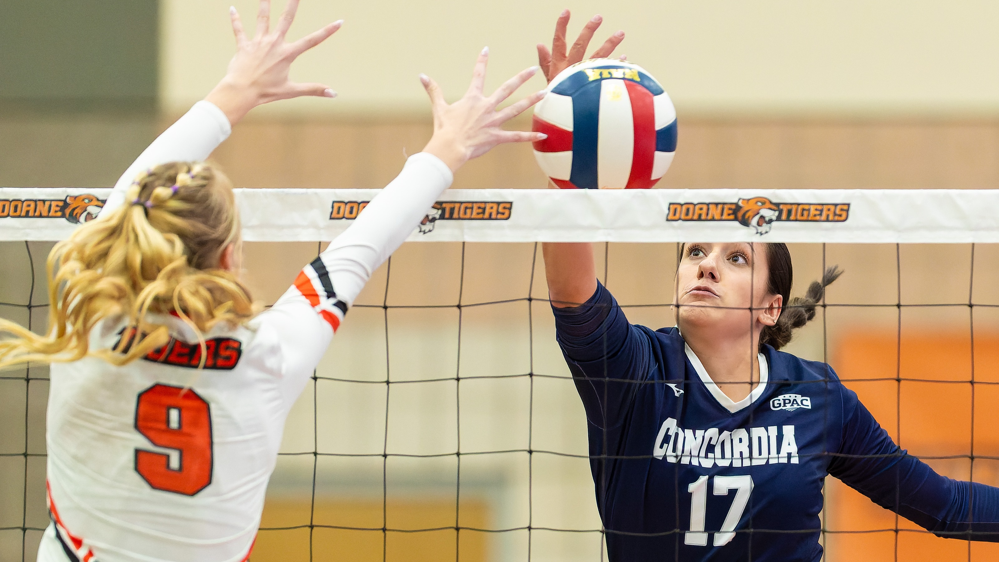 Fourth-ranked Dawgs make quick work of Doane, shift focus to No. 1 ...