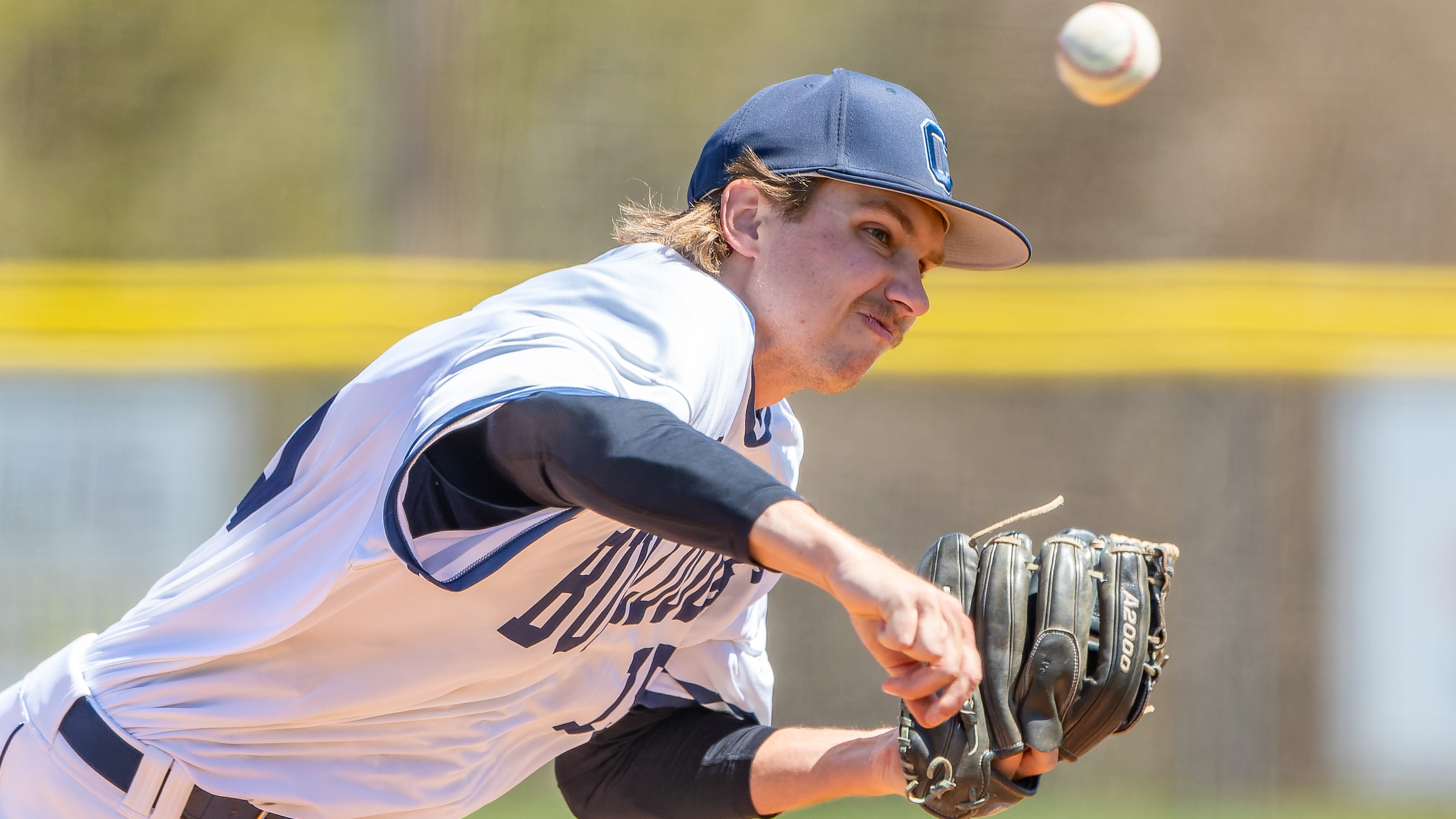 Homer happy Dawgs post Sunday sweep of Doane as Greenburg dominates on ...