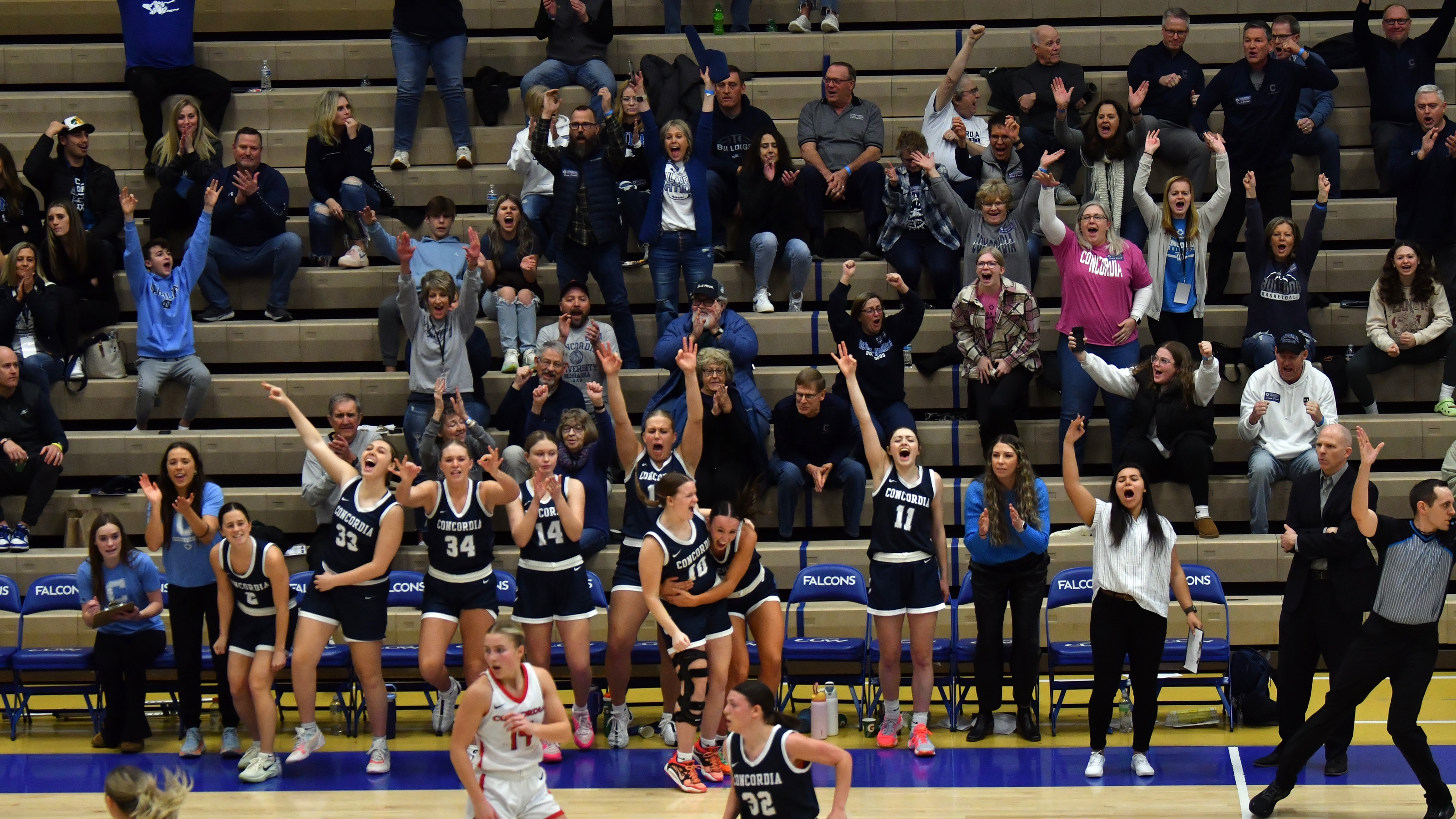 Bulldogs weather storm, extend CIT winning streak :: Women's Basketball ...
